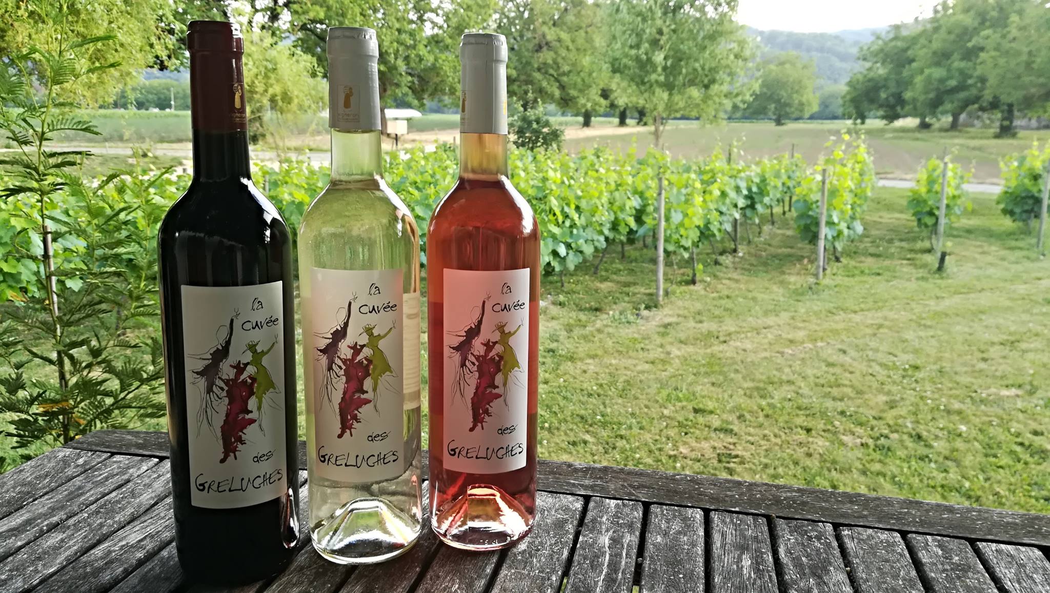 Château Pécot - Ville de Luzech